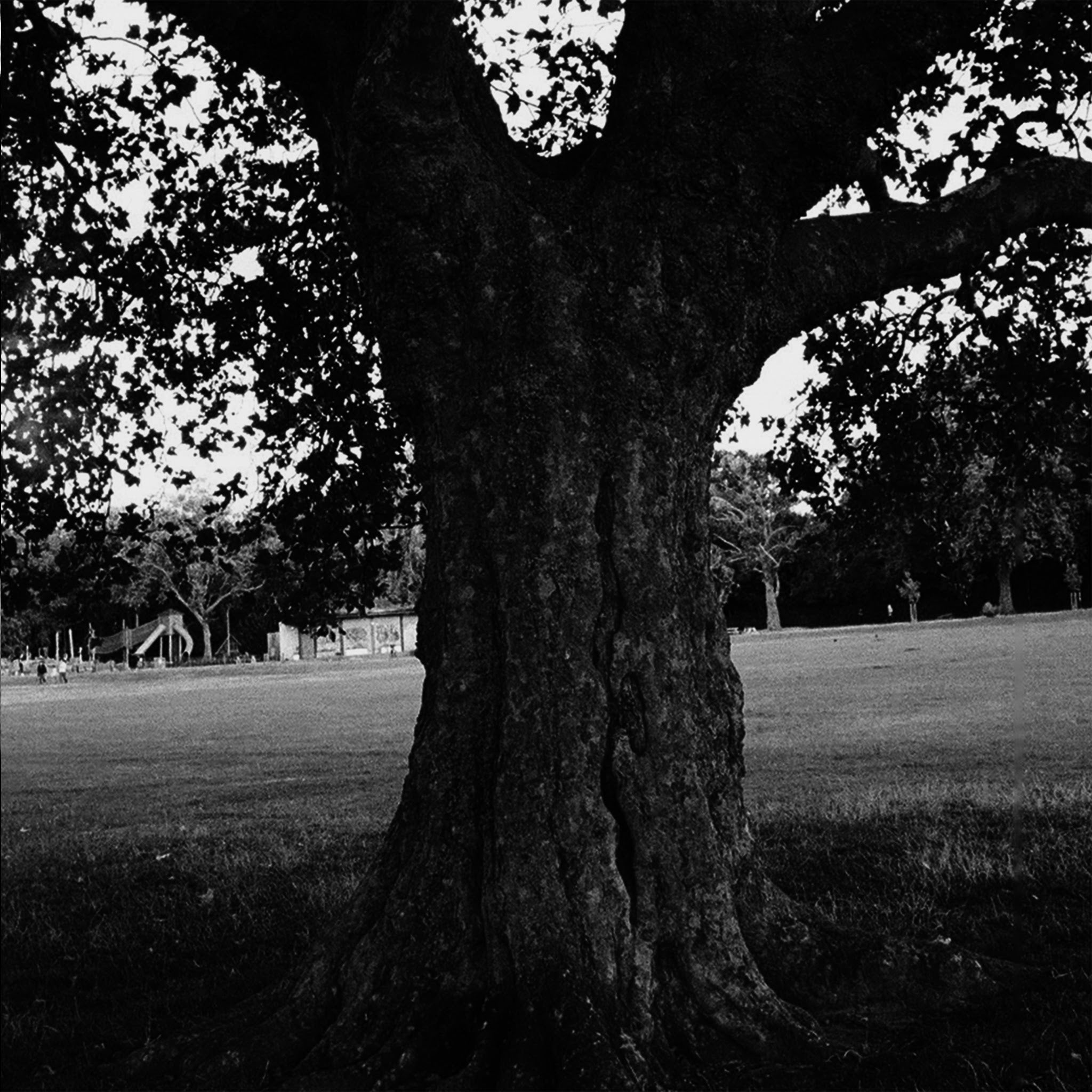 Archy Marshall: A New Place 2... (Vinyl LP) | Freebird Records