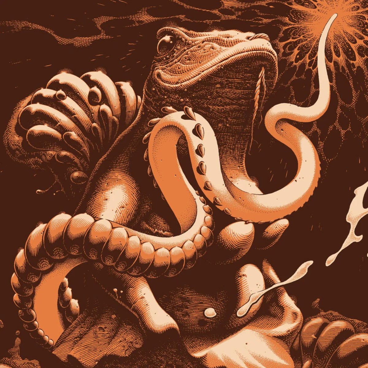 Boris: Amplifier Worship (Vinyl 2xLP) | Freebird Records