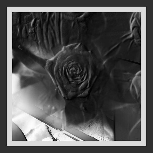 Ital Tek: Mind Abandon (Vinyl LP) | Freebird Records